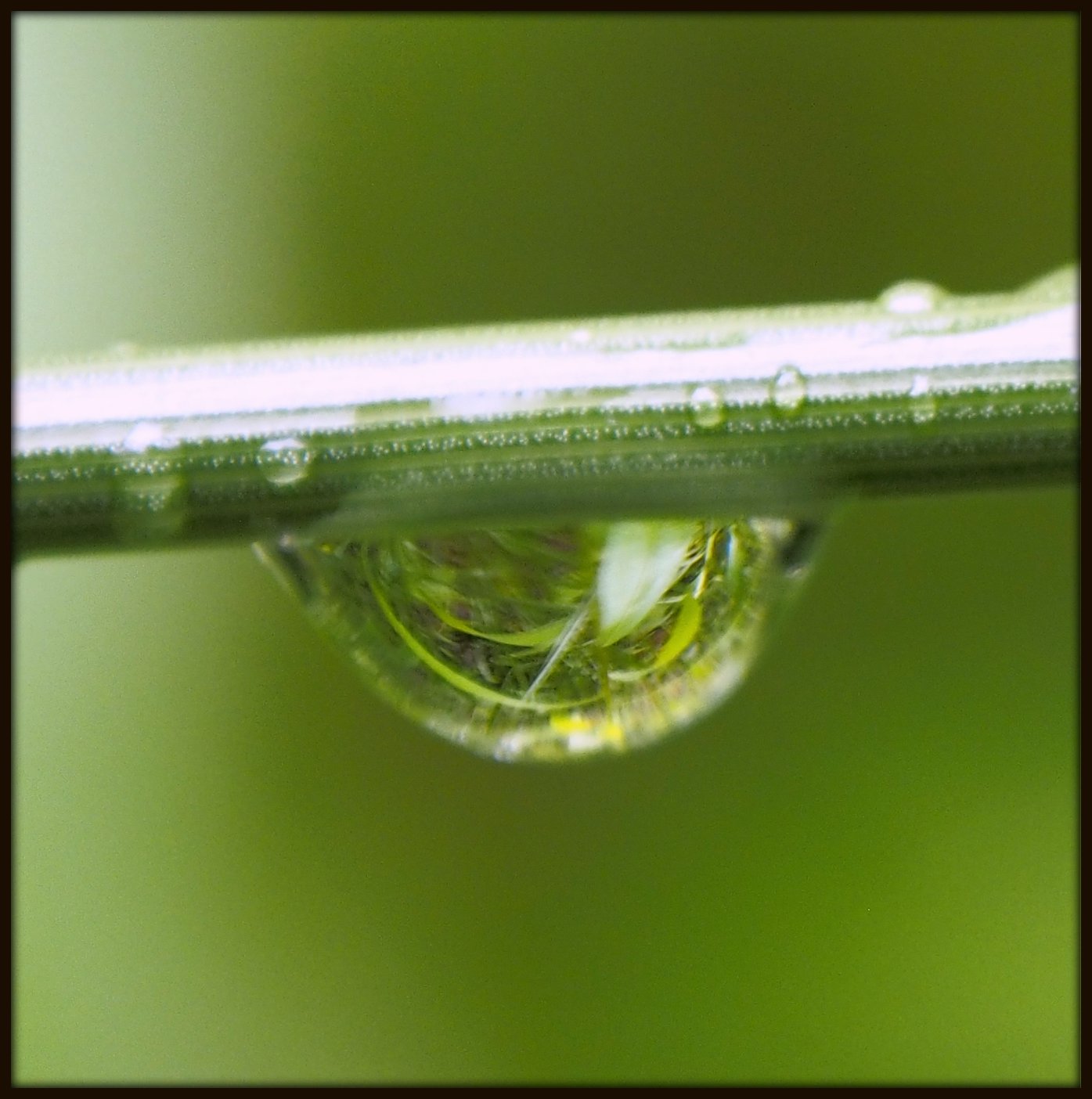 Day 135: Roadside Landscape, Inverted – CommonPlace Nature