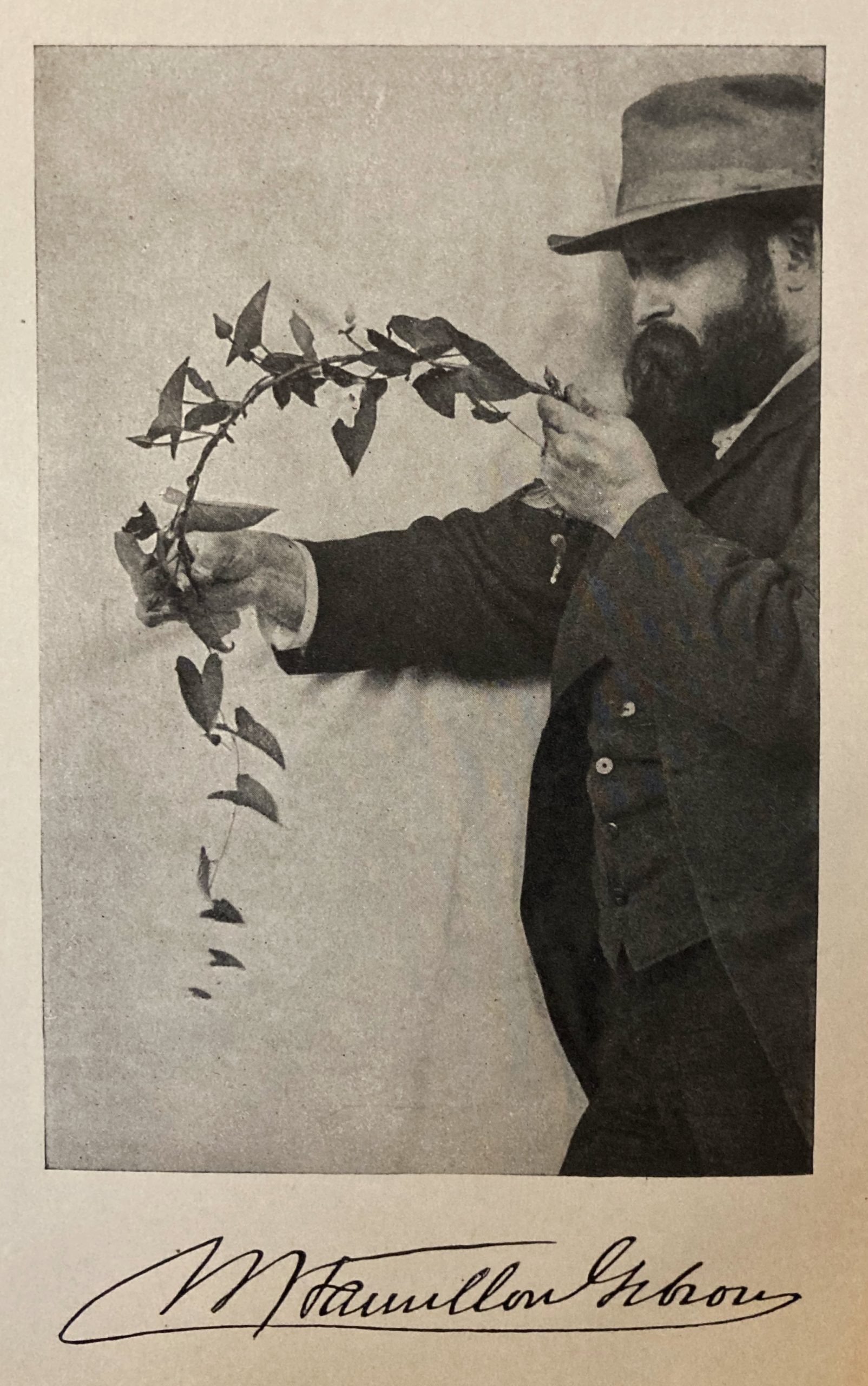 Beautiful Mysteries: “Eye Spy: Afield With Nature Among Flowers and ...